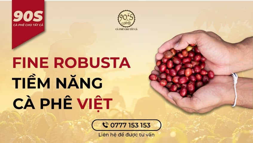 UNDERSTANDING FINE ROBUSTA: STANDARDS, FLAVORS, AND POTENTIAL OF HIGH ...